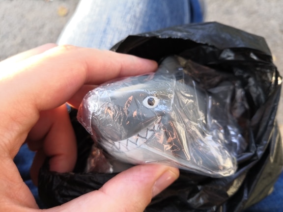 Finding Nemo Rubber Bath Toy